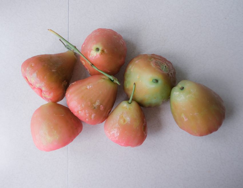 lian pu ♡ – analog girl in a digital world